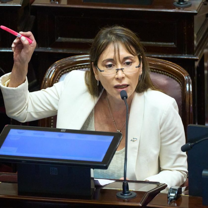 “milei Y Mondino Ponen En Riesgo El Reclamo Argentino Por Malvinas Ante